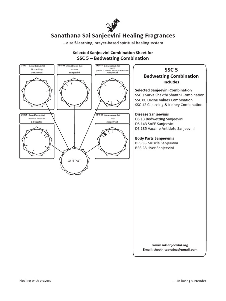 Sanjeevini Combination Sheet For SSC 5 Bedwetting | PDF | Pediatrics ...