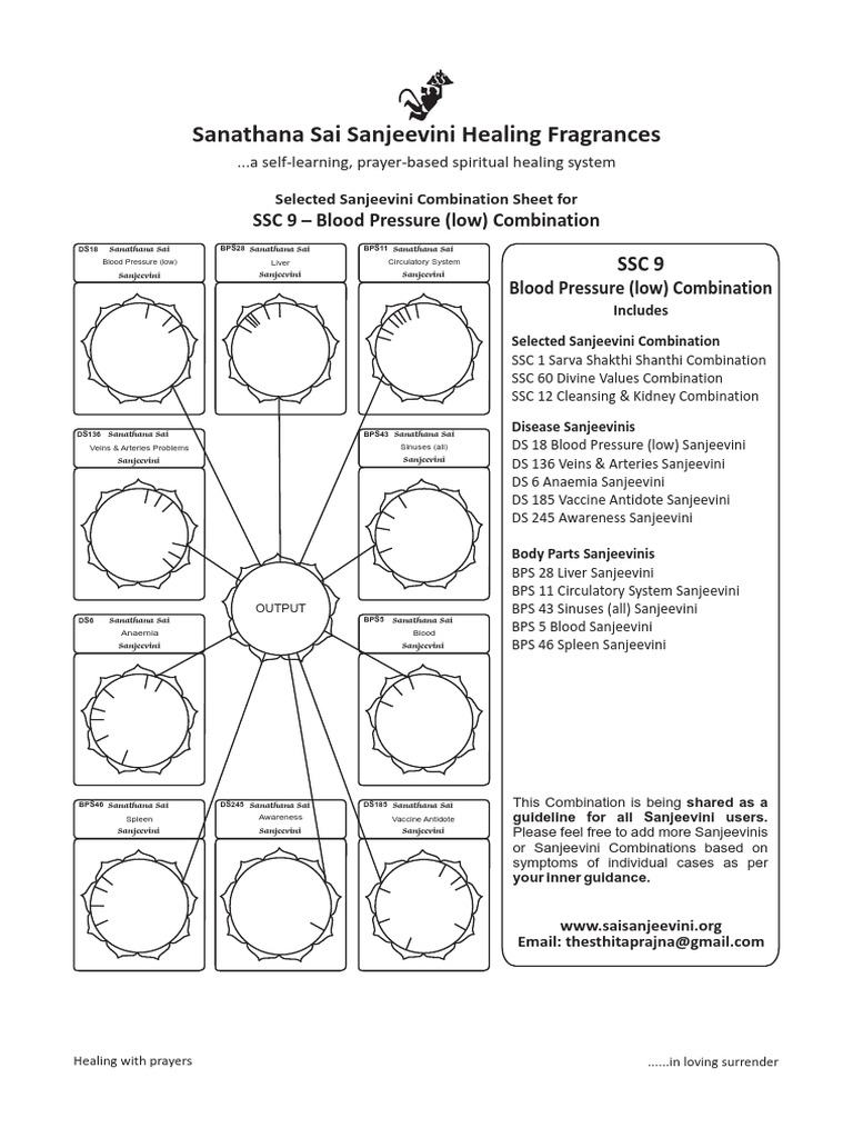 Sanjeevini Combination Sheet For SSC 9 Blood Pressure Low | PDF | Blood ...