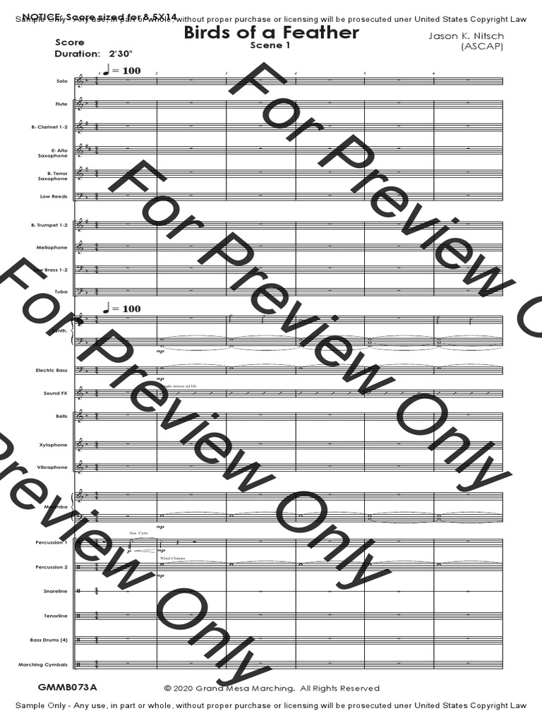 Gmmb073-Birds of A Feather PDF | PDF | Percussion Instruments | Musical ...