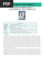 Batería Neuropsicológica de Luria-Nebraska | PDF | Evaluación ...