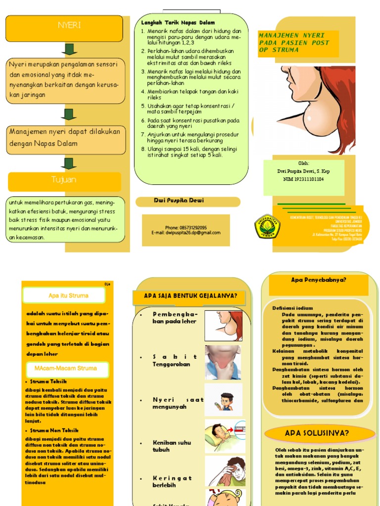 1 LEAFLET Struma Dwipus Baru | PDF