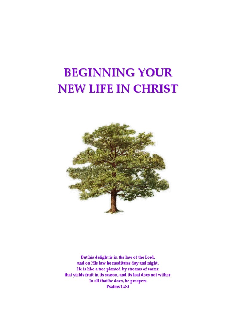 New Life in Christ: A Guide | PDF | Confession (Religion) | Eternal ...