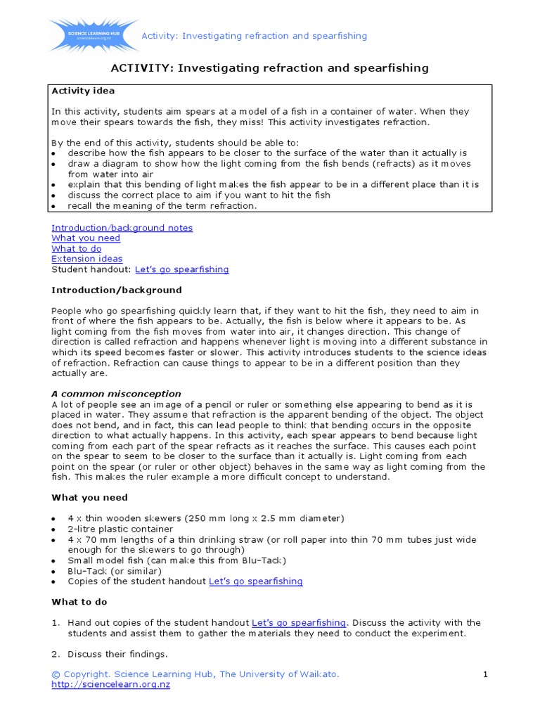 ACTIVITY: Investigating Refraction and Spearfishing | PDF | Refraction | Light