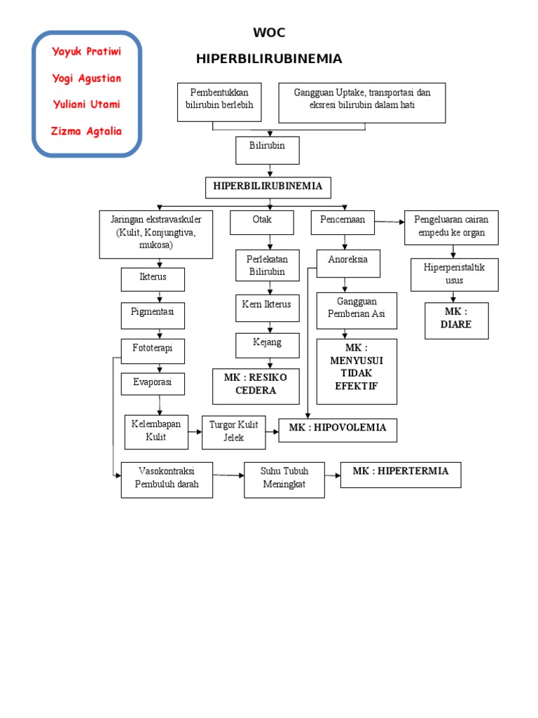 WOC Hiperbilirubinemia: Yayuk Pratiwi Yogi Agustian Yuliani Utami Zizma ...