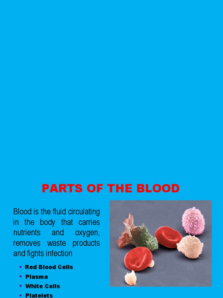 Understanding the Components and Functions of Blood: A Comprehensive ...