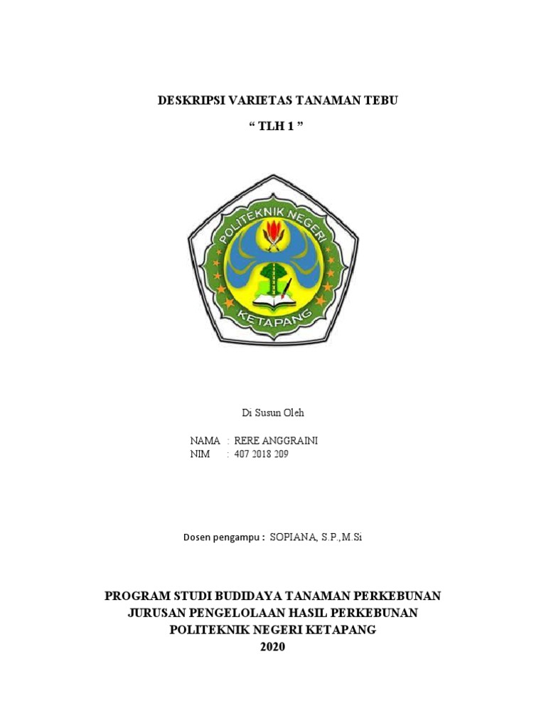 Deskripsi Tebu TLH 1 | PDF