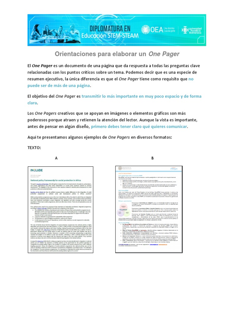 Orientaciones para Elaborar Un One Pager | PDF