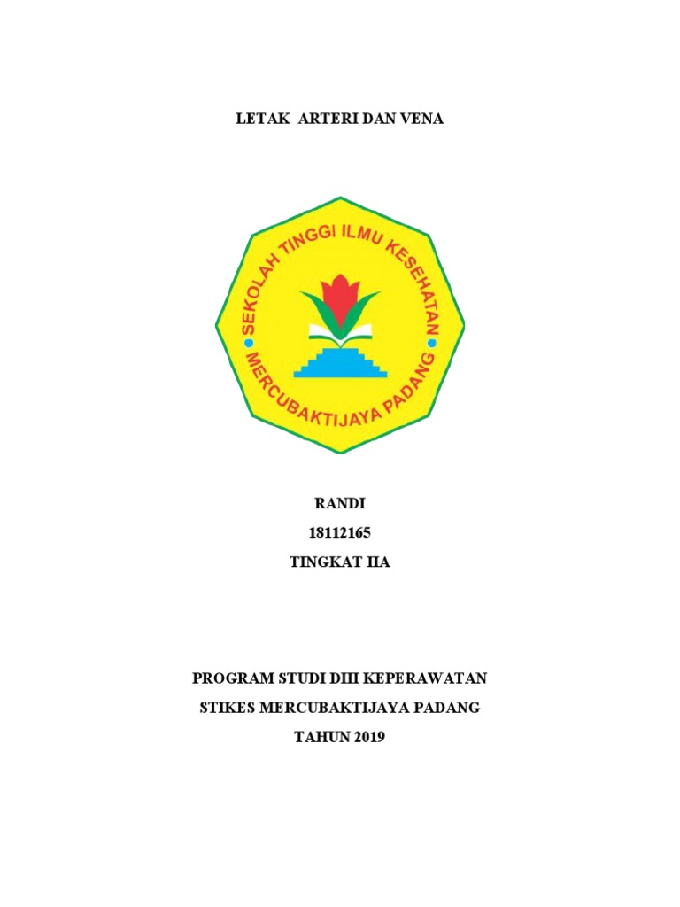 Letak Arteri Dan Vena | PDF