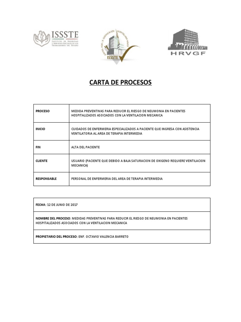 Carta de Procesos | PDF