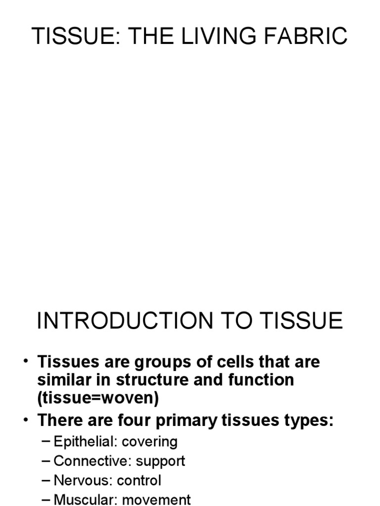 Tissue: The Living Fabric | PDF | Epithelium | Connective Tissue
