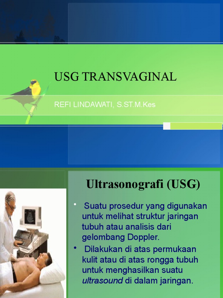 USG Transvaginal: Prosedur dan Manfaat | PDF | Sains & Matematika