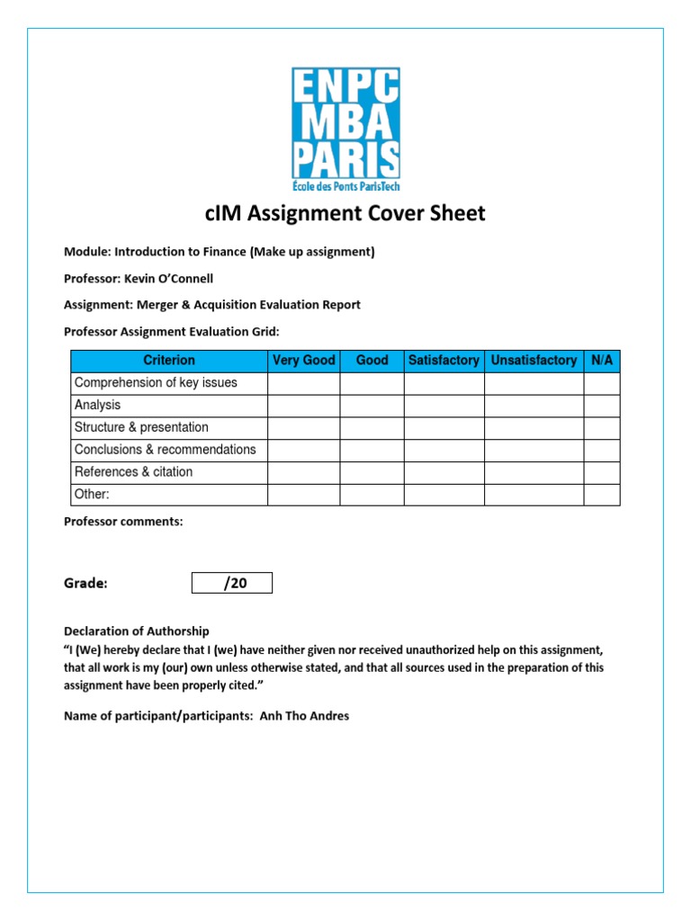cIM Assignment Cover Sheet: Grade: /20 | PDF | Lenovo | Net Present Value