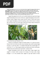 Anggrek Mekar Pontianak | PDF