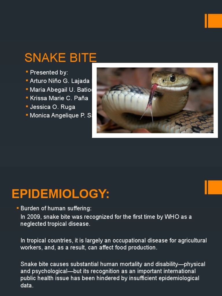 FINAL Snake Bite Case Pres | PDF | Venom | Snake