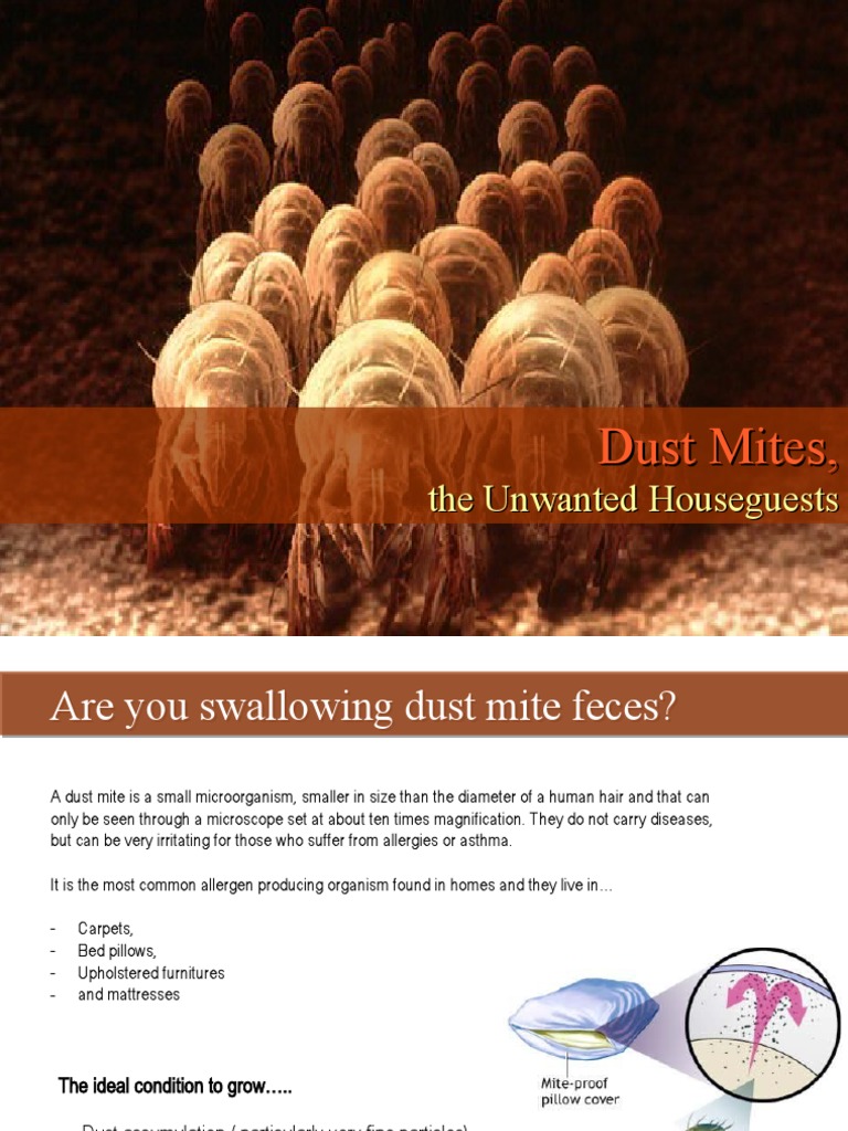 Dust Mites: Health Risks and Control | PDF