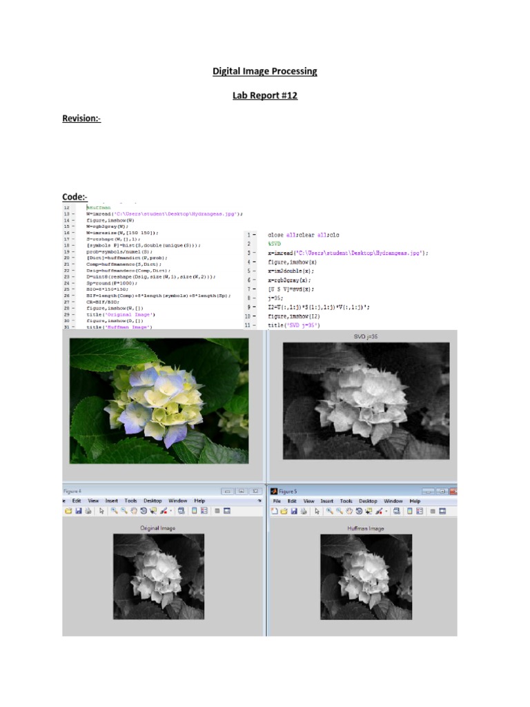 Digital Image Processing Lab Report #12: Revision | PDF | Art | Computers