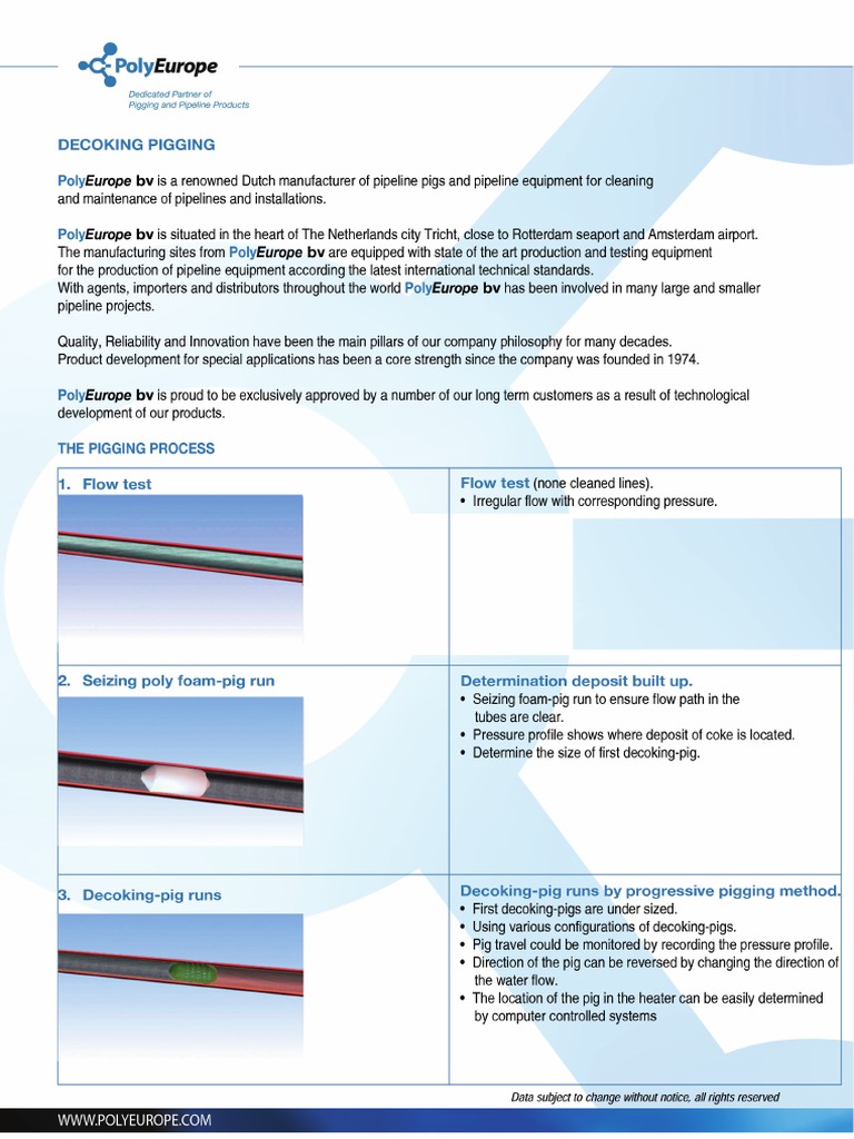 Brochure Decoking Pigs | PDF