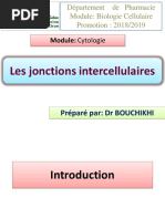Types de jonctions cellulaires expliqués | PDF | Biologie cellulaire ...