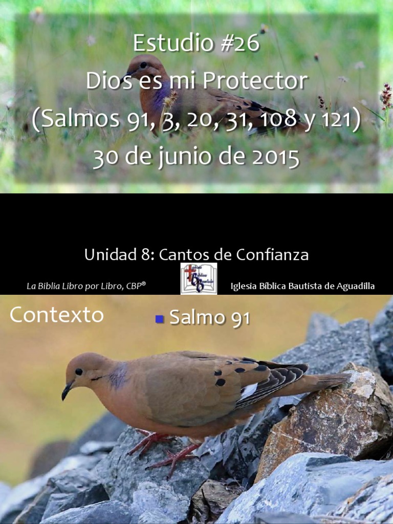 26 Dios Es Mi Protector PDF | Descargar gratis PDF | Salmos | Biblia