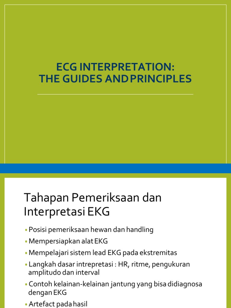 Panduan Interpretasi EKG Hewan | PDF