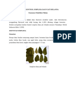 Laporan Praktikum Farmakognosi Simplisia Folium | PDF