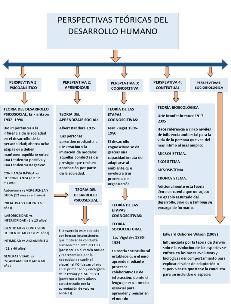 Perspectivas Teoricas Del Desarrollo Humano1 | PDF | Comportamiento ...