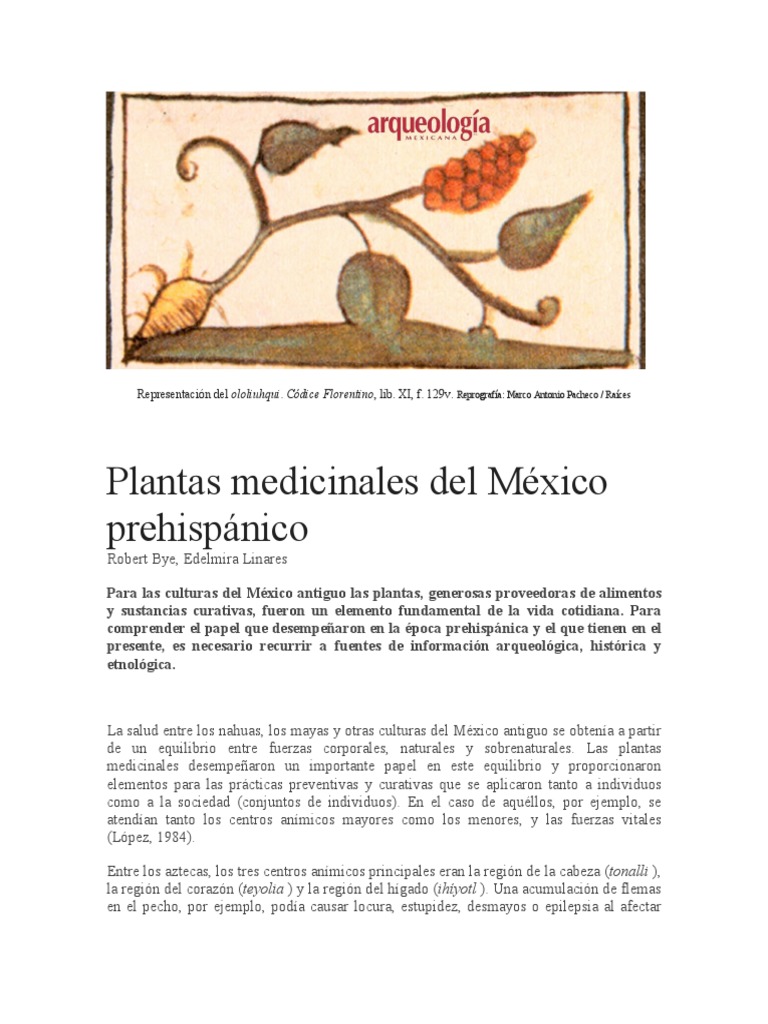 Plantas Medicinales Del Mexico Prehispanico Pdf Pdf Plantas