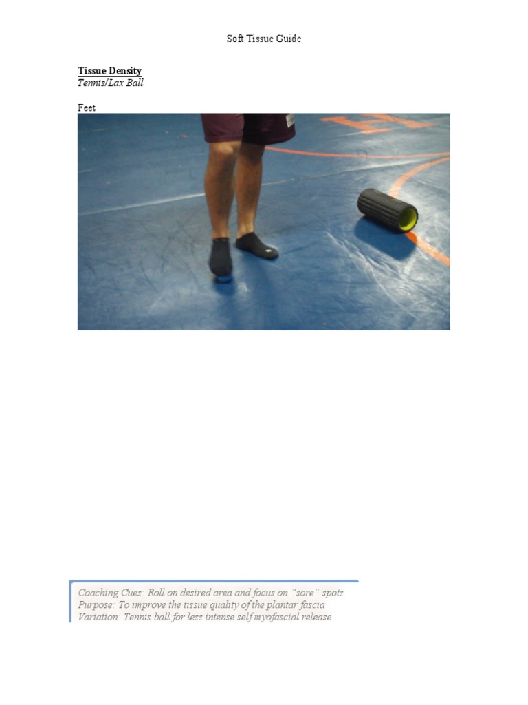 Tennis/Lax Ball: Tissue Density | PDF | Anatomical Terms Of Motion ...