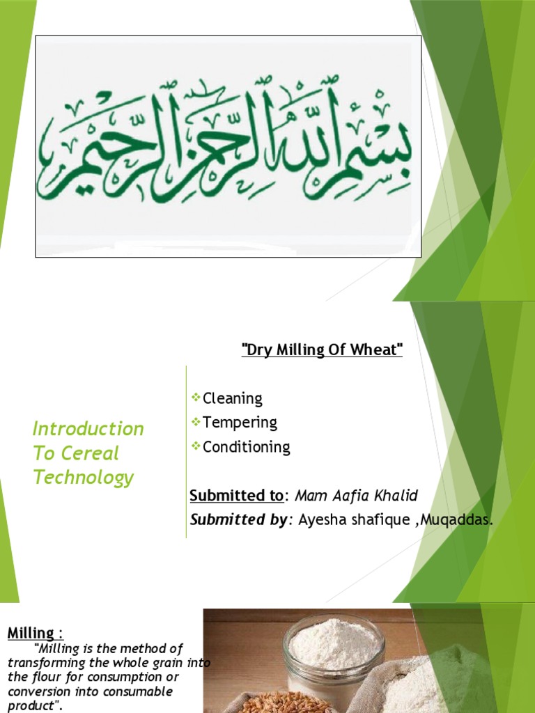 Dry Milling Process of Wheat Explained | PDF | Flour | Mill (Grinding)