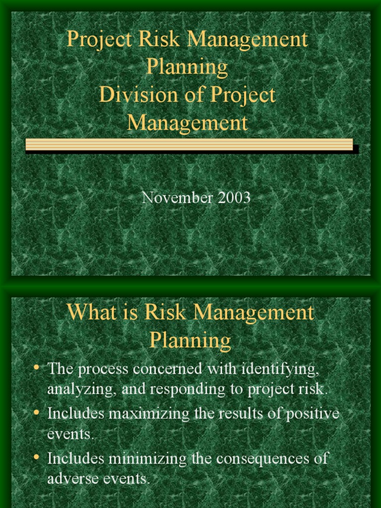 Risk Management Presentation | PDF | Risk Management | Risk