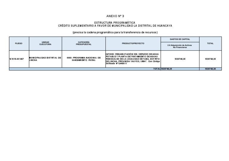 ESTRUCTURA PROGRAMATICA (Anexo 3) | PDF