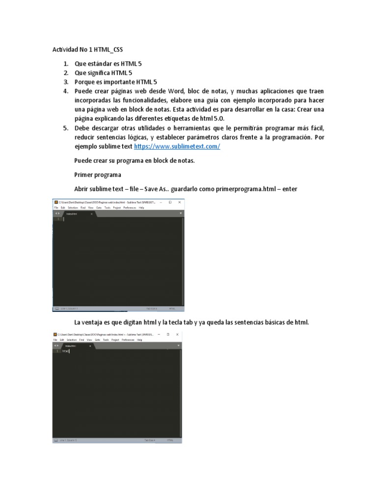 Actividad #1 HTML - CSS | PDF