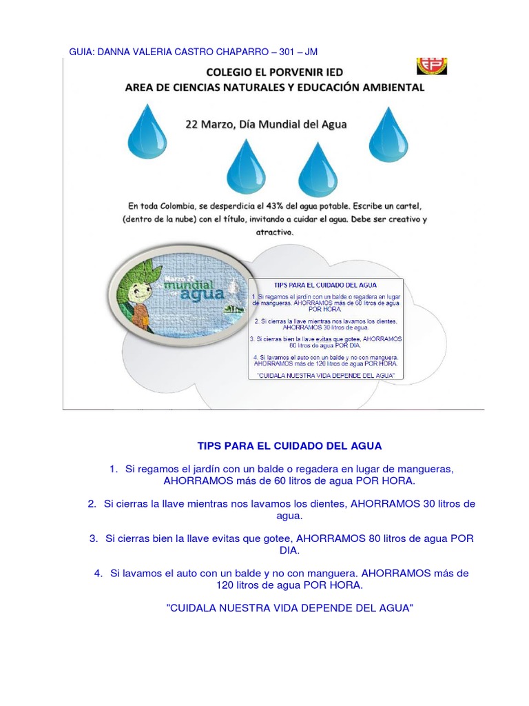 Tips para El Cuidado Del Agua | PDF