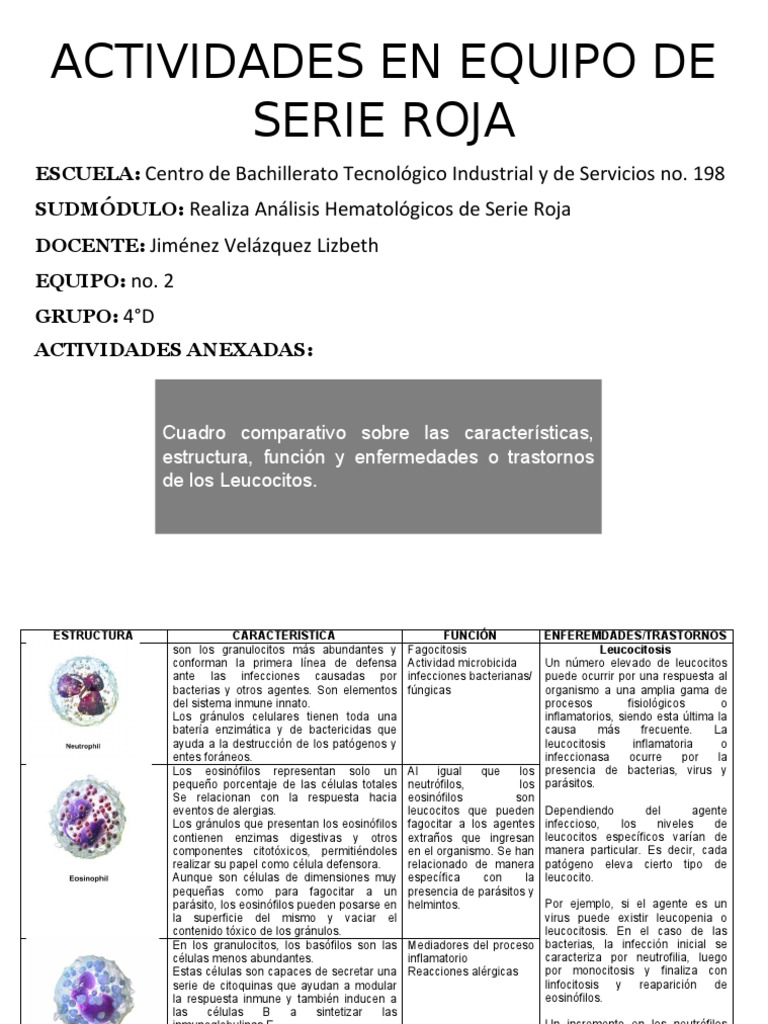 Cuadro de Leucocitos | PDF | Leucocito | Sistema inmune