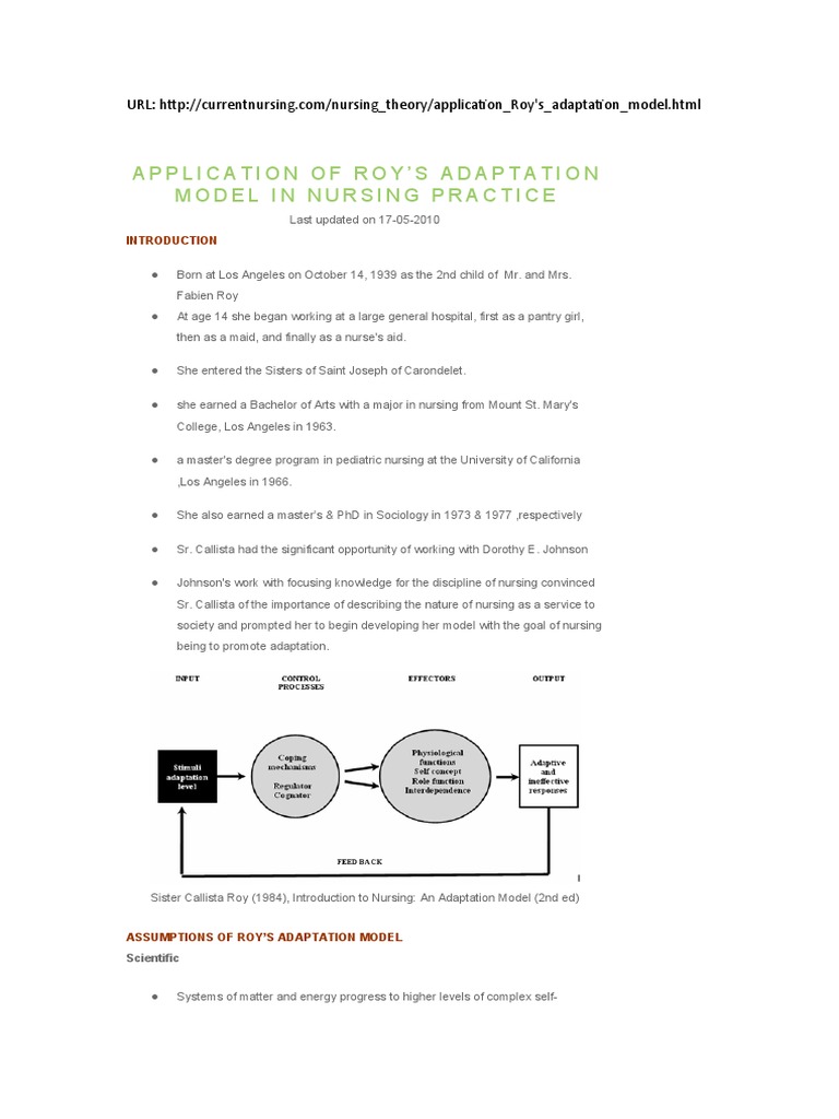 Application of Roy's Adaptation Model | PDF | Wound | Behavior