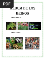 Proyecto Explorando El Mundo Animal | PDF | Aprendizaje | Vertebrados