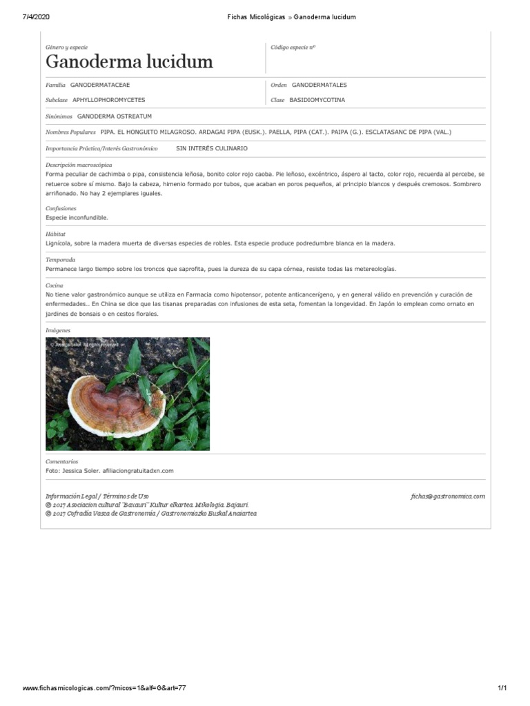 Ficha Tecnica Ganoderma | PDF | Ciencia y matemáticas