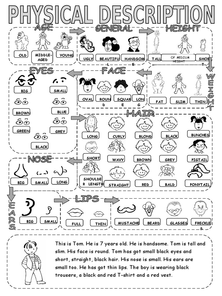 Physical Appearance Vocabulary Worksheet | PDF