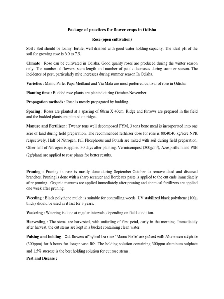 Package of Practices For Rose | PDF | Manure | Soil