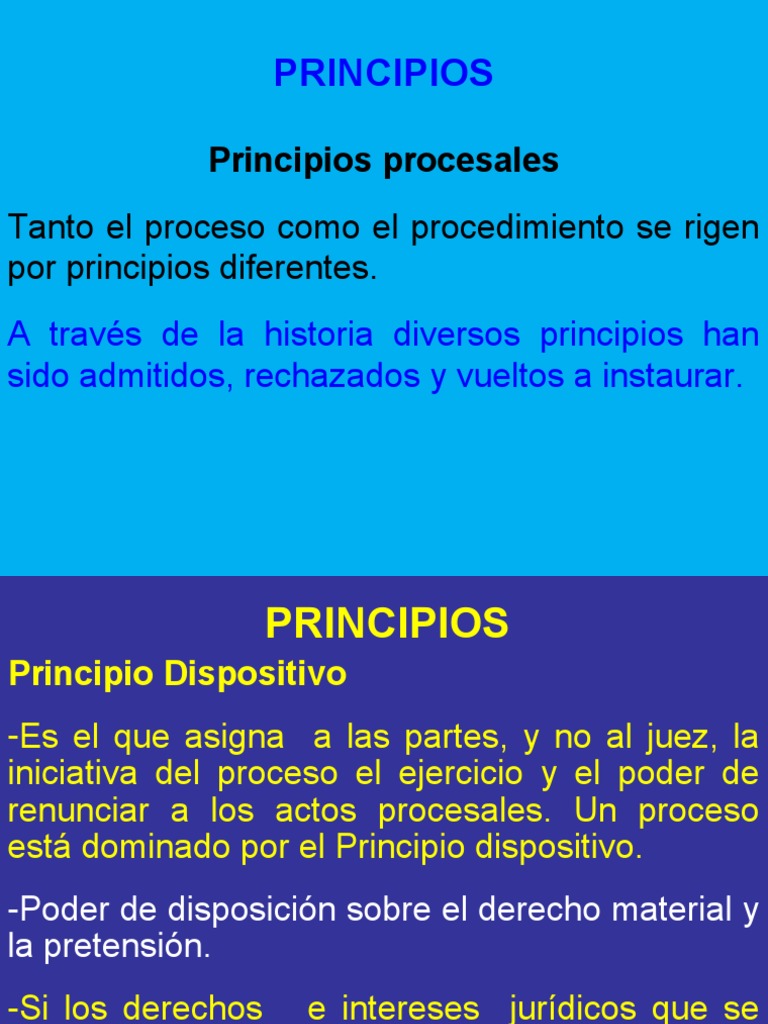 Principios Procesales | PDF | Ley procesal | Juez