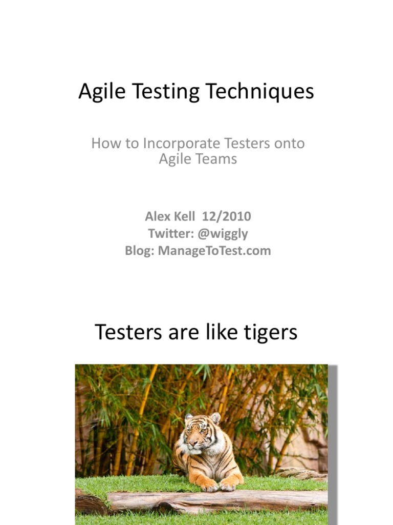 Agile Testing Techniques Slides Agile Atlanta 12 2010 Pdf Software