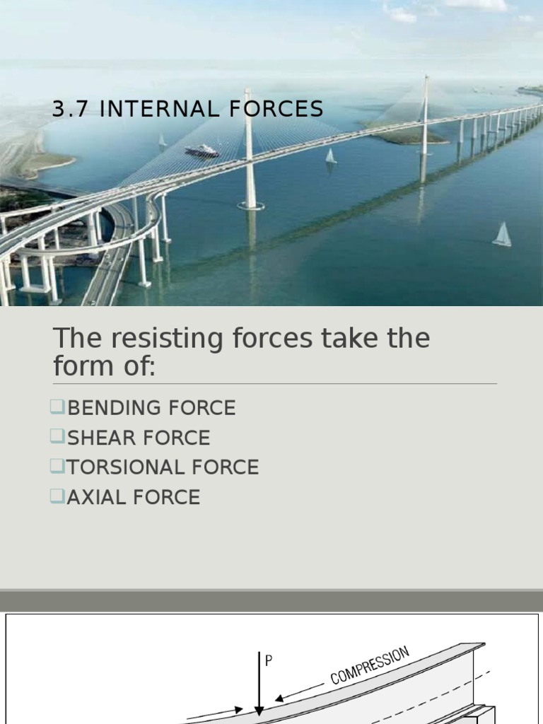 Internal Forces | PDF | Beam (Structure) | Storm Drain