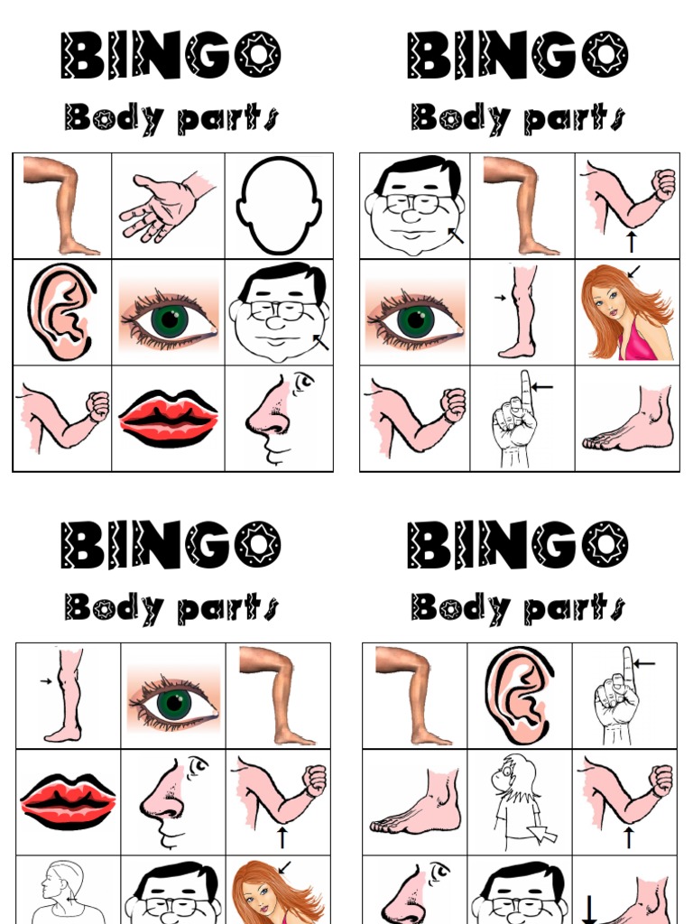 Body Parts Body Parts: Bingo Bingo | PDF | Gaming And Lottery | Casino ...