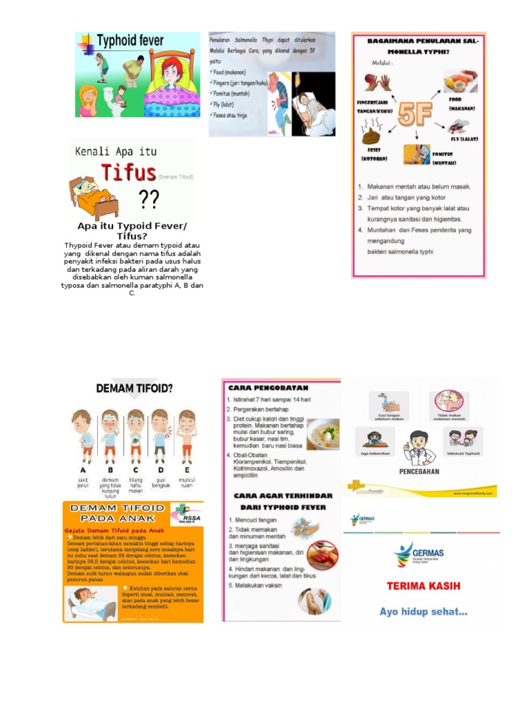 Leaflet Demam Tifoid | PDF