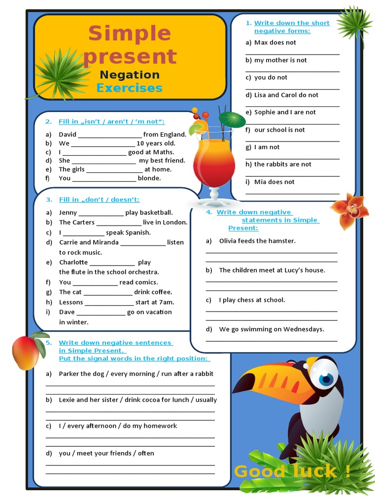 Simple Present Negation Grammar Drills - 123365 | PDF