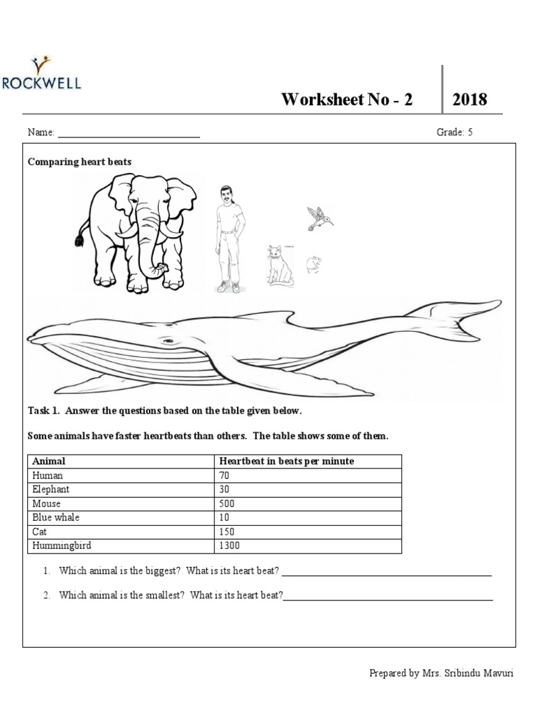 Grade 5 Worksheet 2comparing Heart Beat | PDF | Heart Rate | Cognition