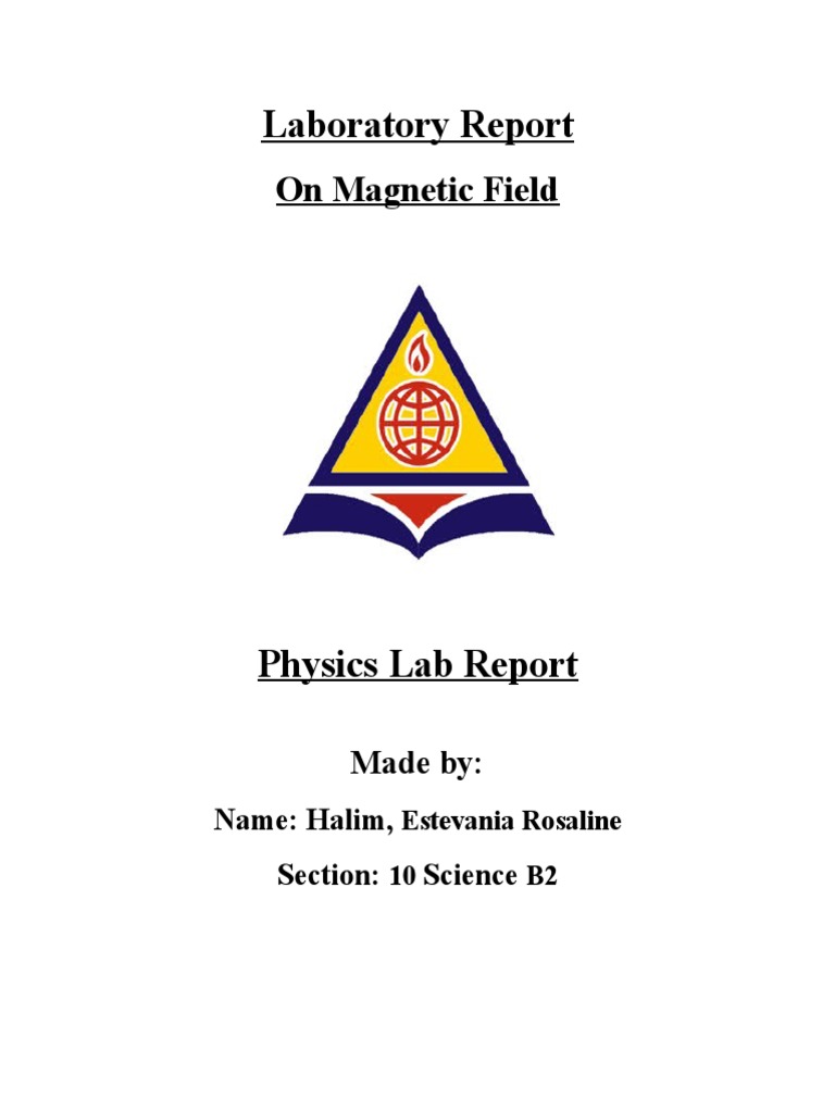 Laboratory Report Physics | PDF | Magnet | Magnetism