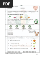 Class 2 Logical Reasoning Worksheets | PDF