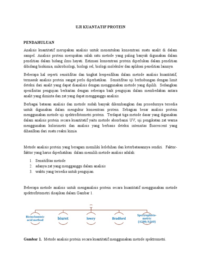 Analisis Kuantitatif Protein | PDF