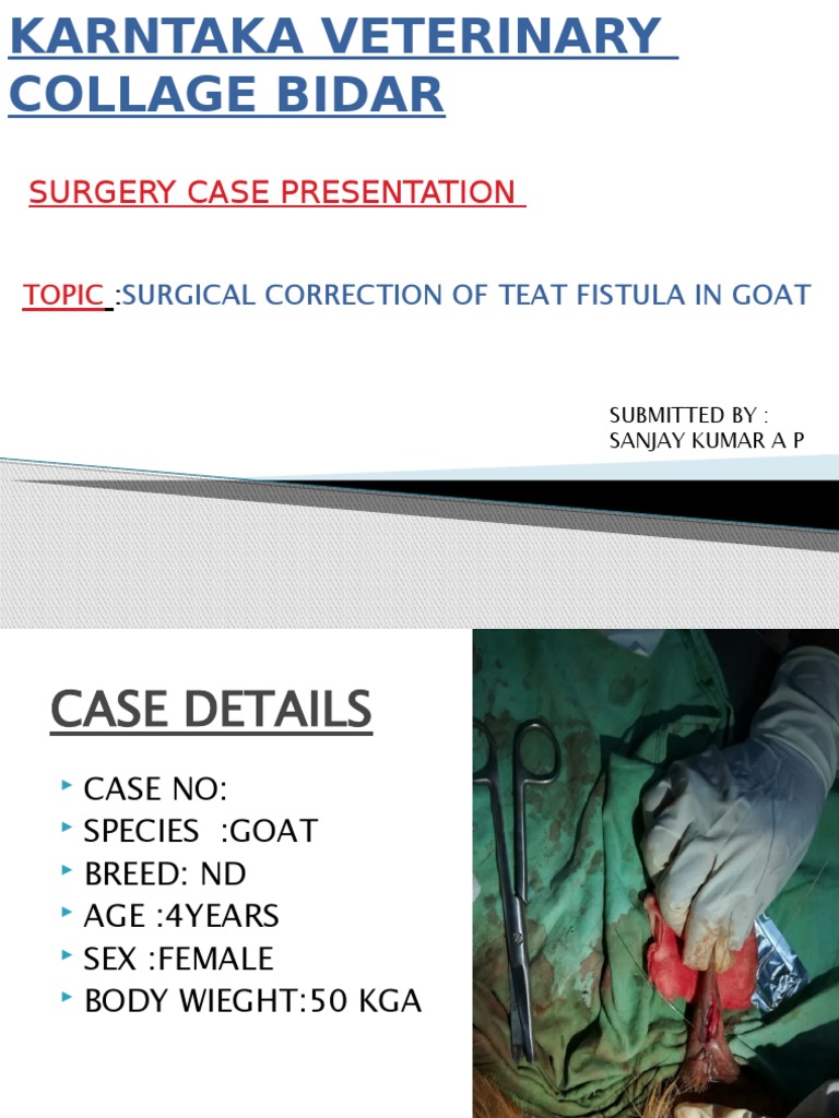 Surgery Case Presentation: Surgical Correction of Teat Fistula in Goat ...